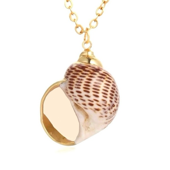 Jewelry | Spotted Moon Snail Shell Natica Tigrina Dappled Speckled ...